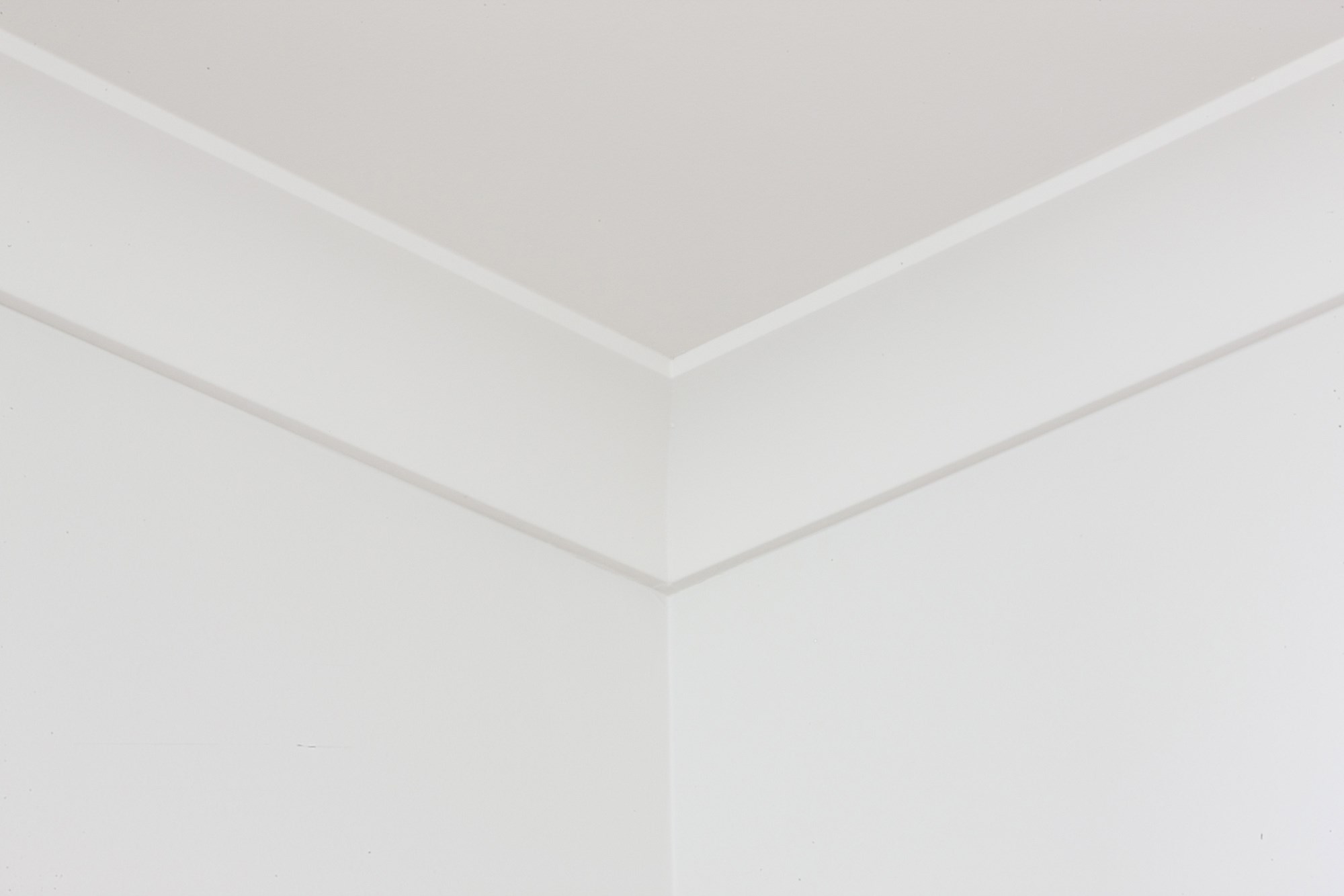 55mm Boral cove cornice